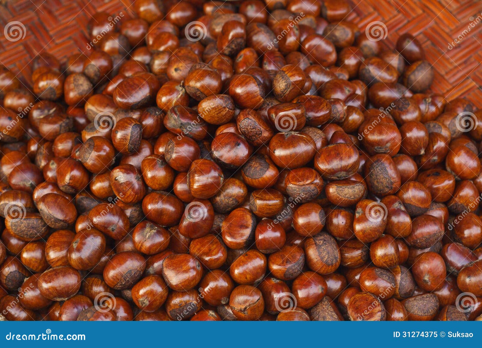 Kinesisk kastanj. fotografering för bildbyråer. Bild av matning - 31274375