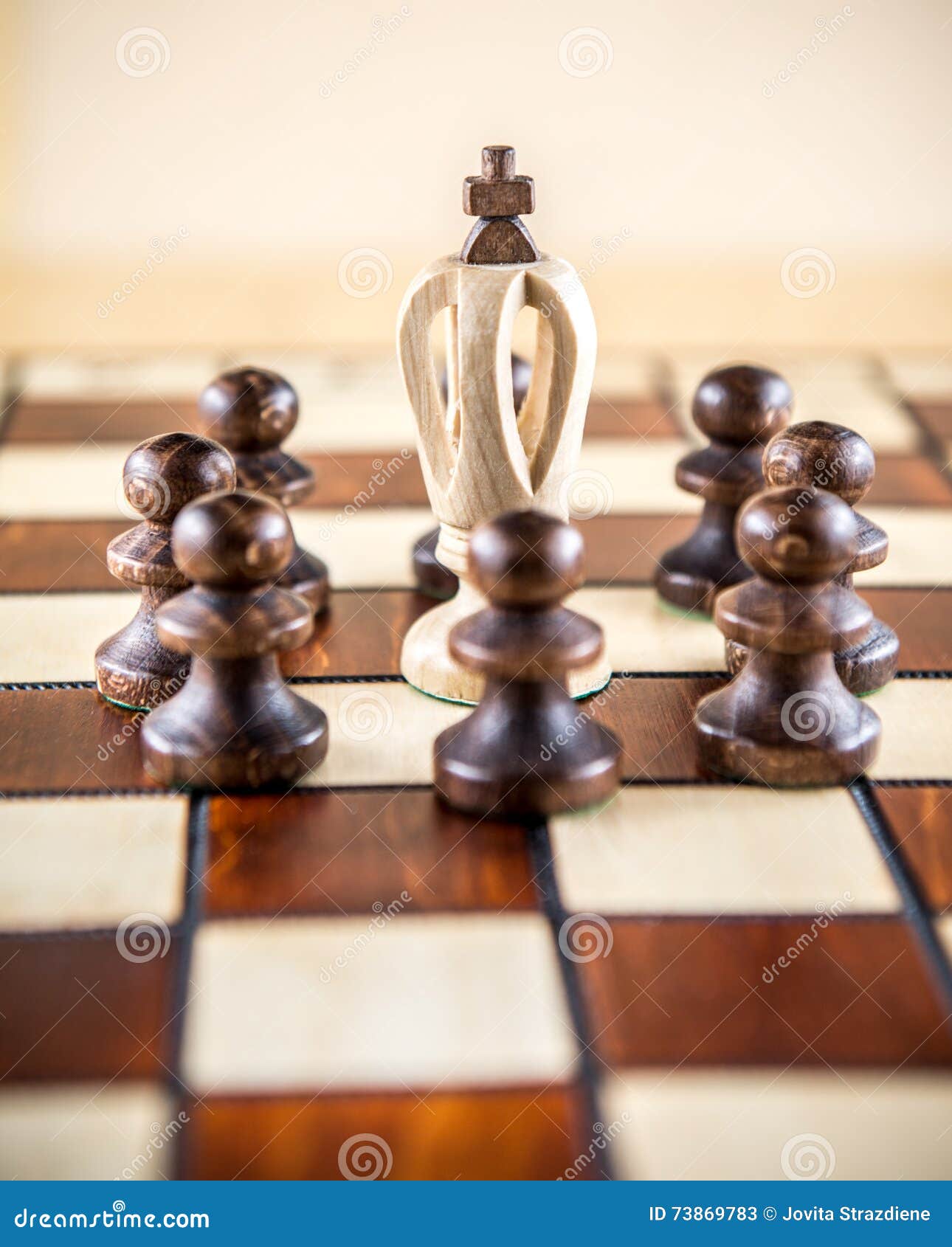 King alone surrounded stock image. Image of surrounded - 73869783