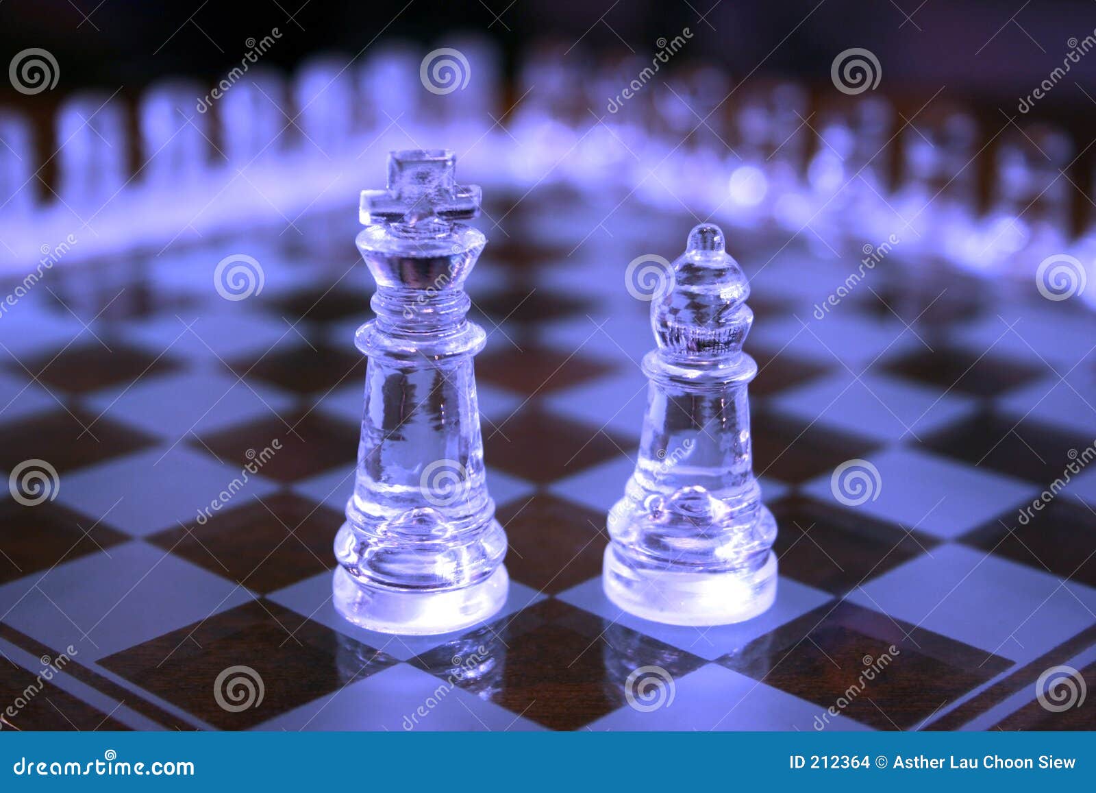 King and Bishop Chess Pieces Stock Photo - Image of recreational ...