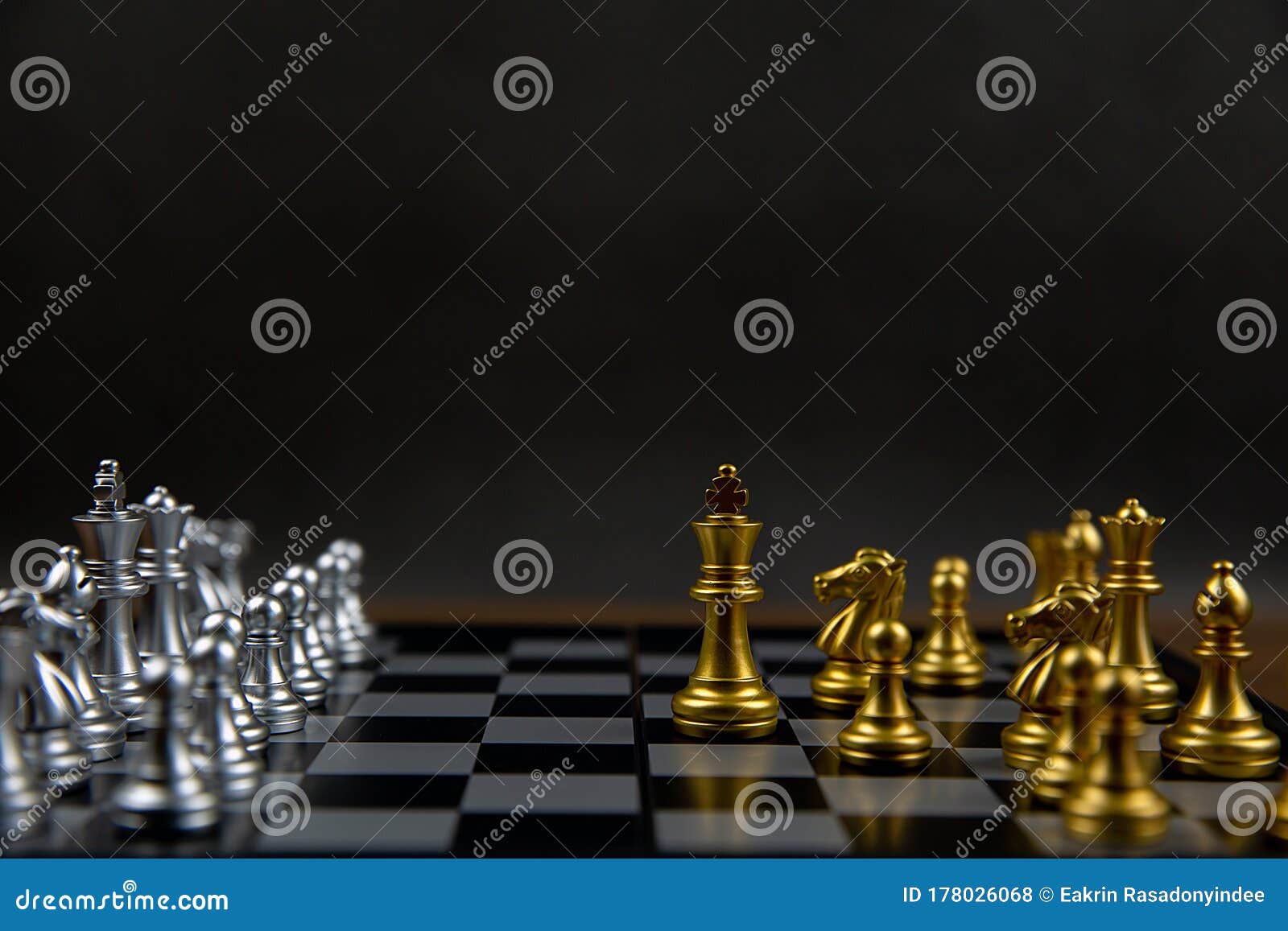A King Chess in Front of the Line. Stock Photo - Image of defense ...
