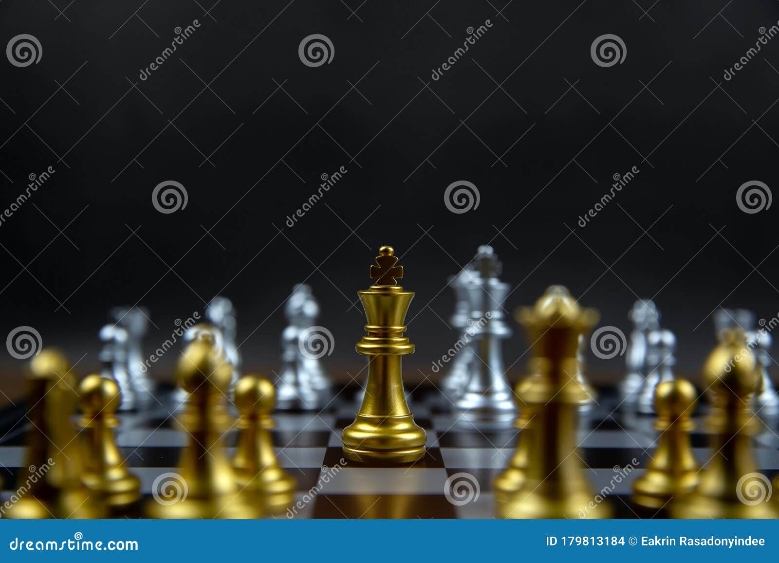 A King Chess in Front of the Line.Concept of Leadership Stock Photo ...