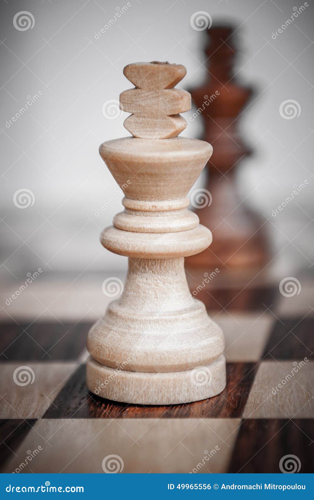The king of chess stock photo. Image of boss, chequered - 49965556