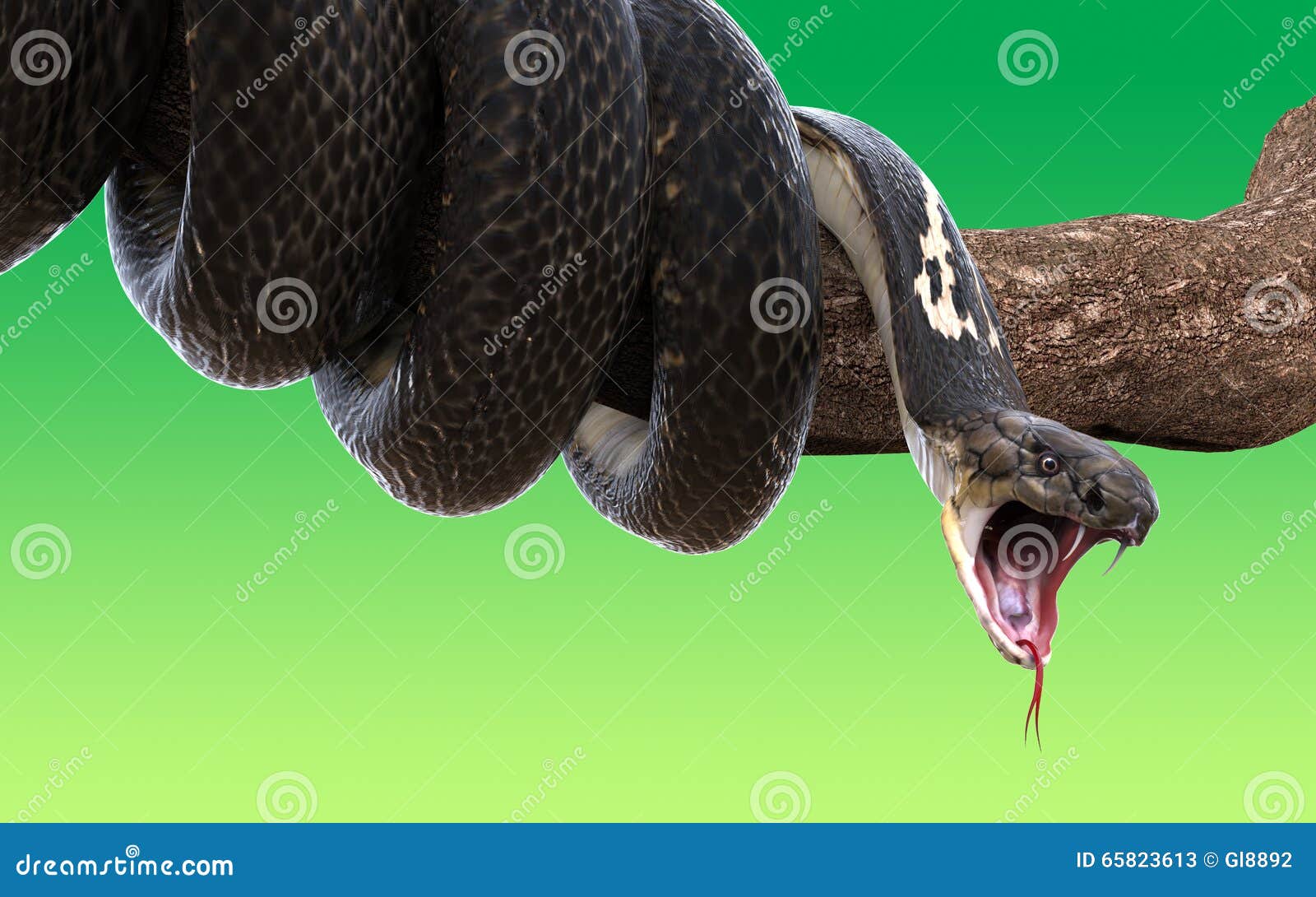 King Cobra Snake Wrapped on a Tree Branch Stock Illustration ...