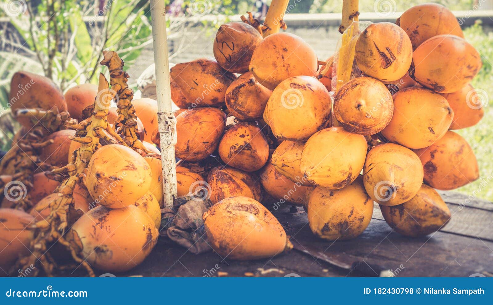 King Coconut Bunch on a Table Stock Photo - Image of cocos, outdoor ...