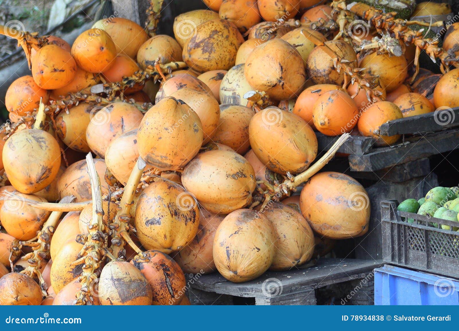 King Coconuts (Thembili) at a Fruit Kiosk on the Road Sri Lanka Stock ...