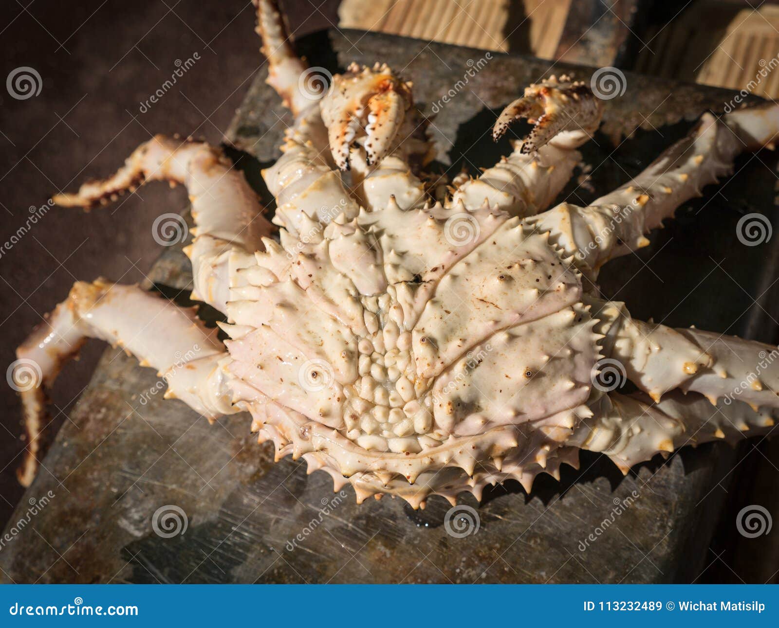 King Crab Lying Belly Back on a Large Scale Stock Image - Image of food ...