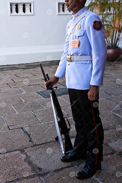 The King Guard uniform editorial stock photo. Image of history - 23653818