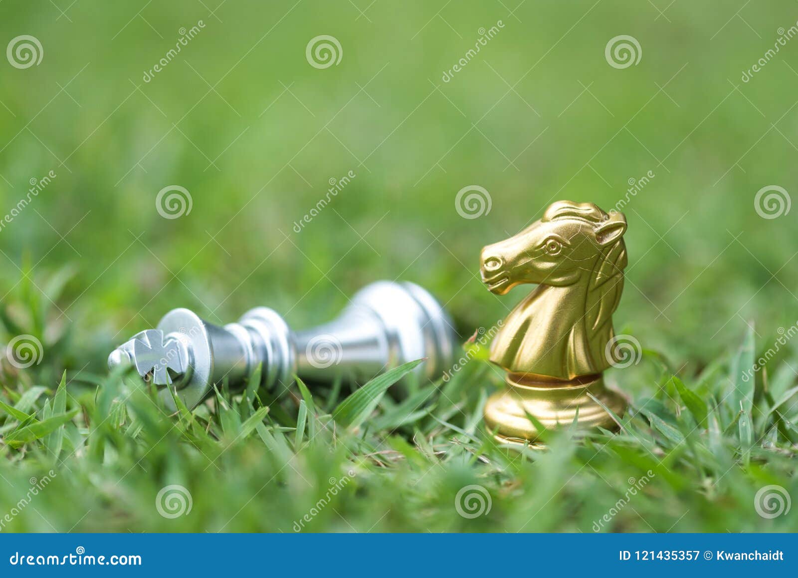 King and Knight Chess Pieces on Grass Filed Stock Image - Image of ...