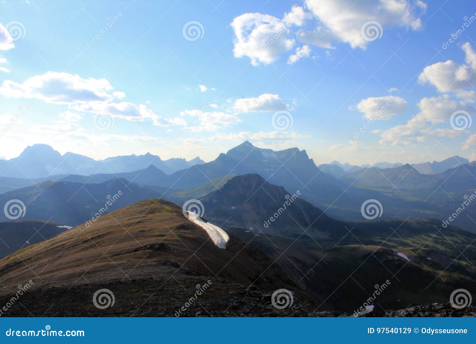 The King of Mountains stock image. Image of plant, flowers - 97540129