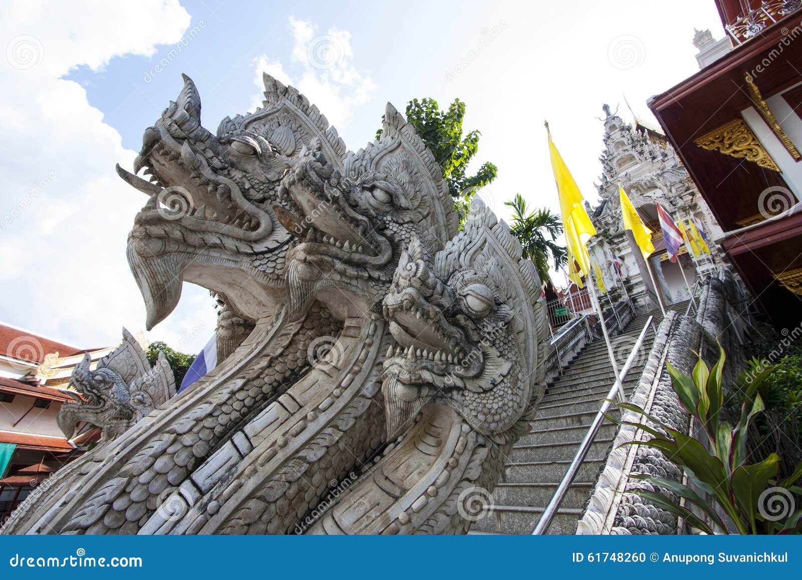 King of Nagas stock photo. Image of religion, belive - 61748260