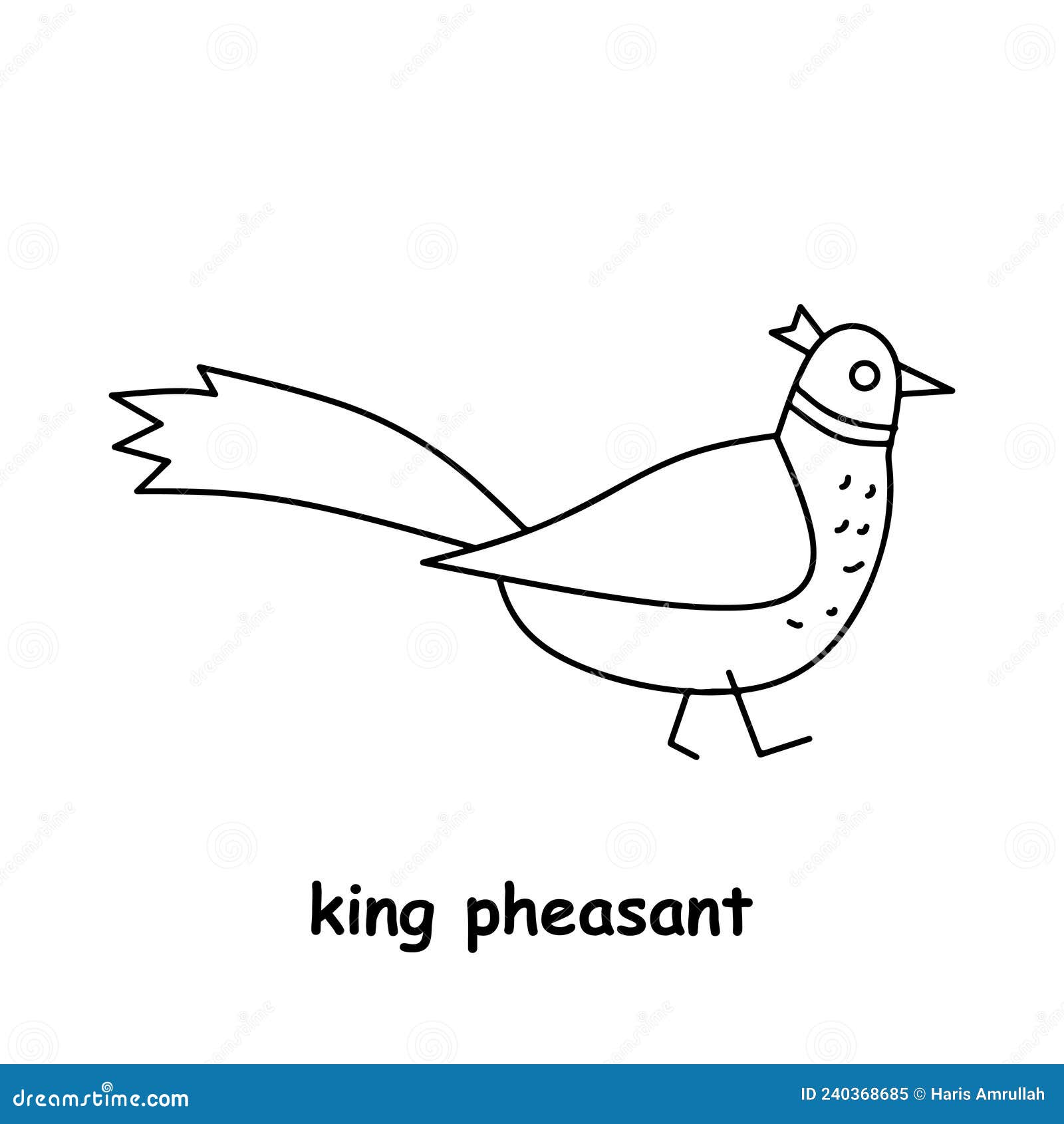 King Pheasant Children Book Illustration, Trace and Coloring Vector ...