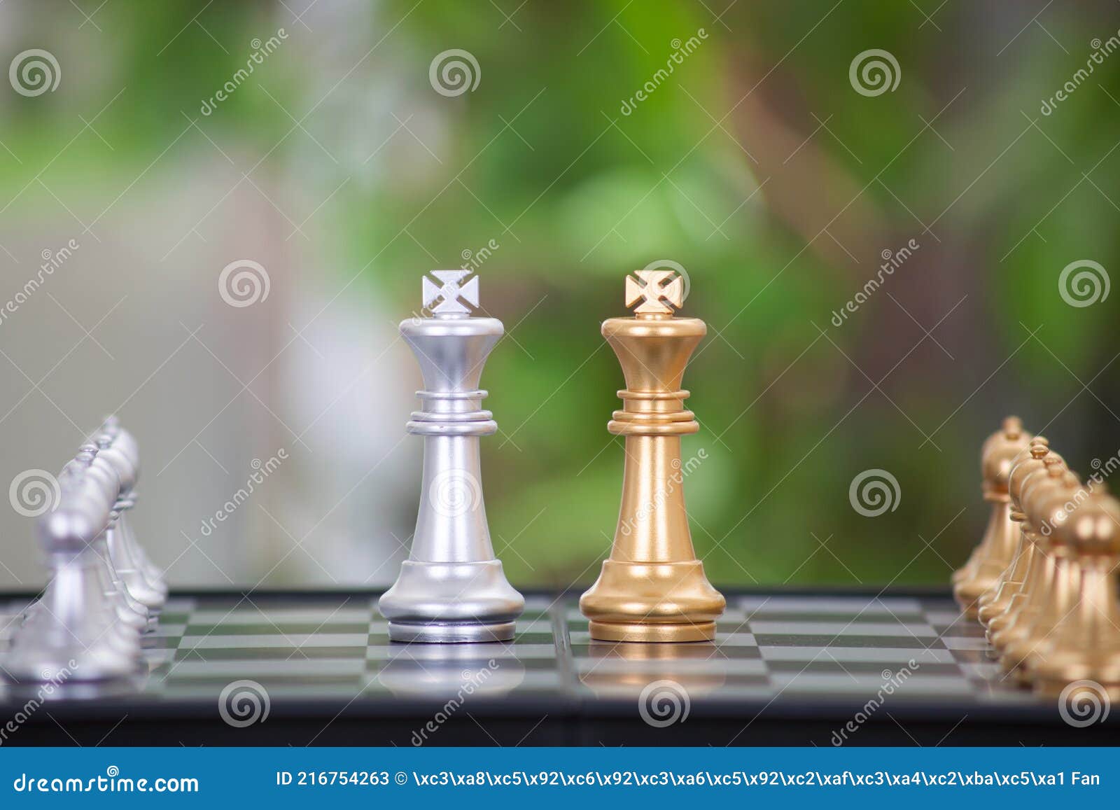 The King Pieces on the Chess Board are Facing Each Other Stock Image ...