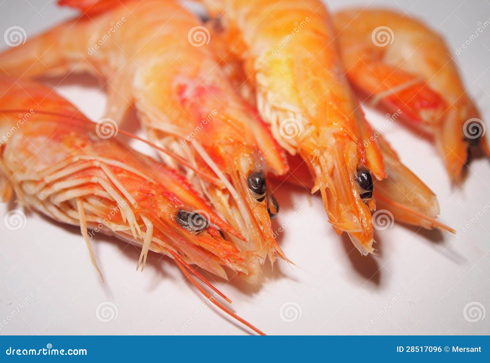 King prawn stock photo. Image of orange, nature, meat - 28517096