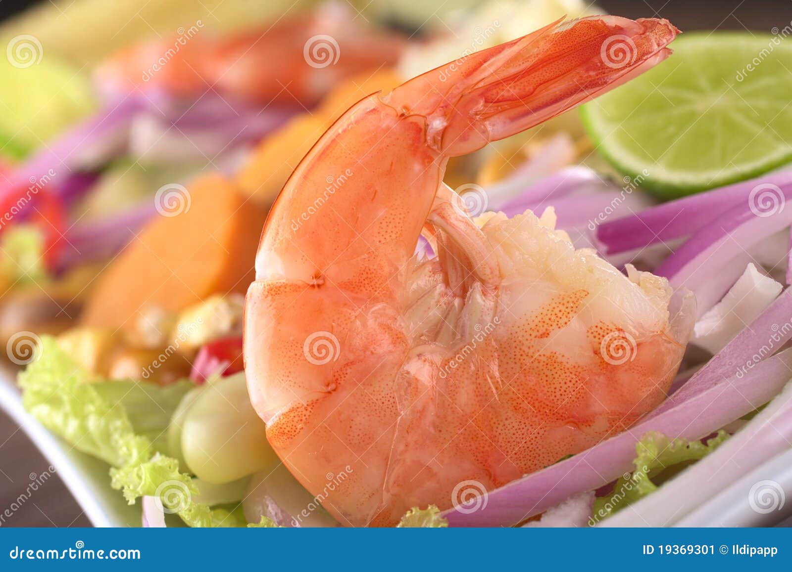King Prawn Ceviche stock image. Image of seviche, horizontal - 19369301