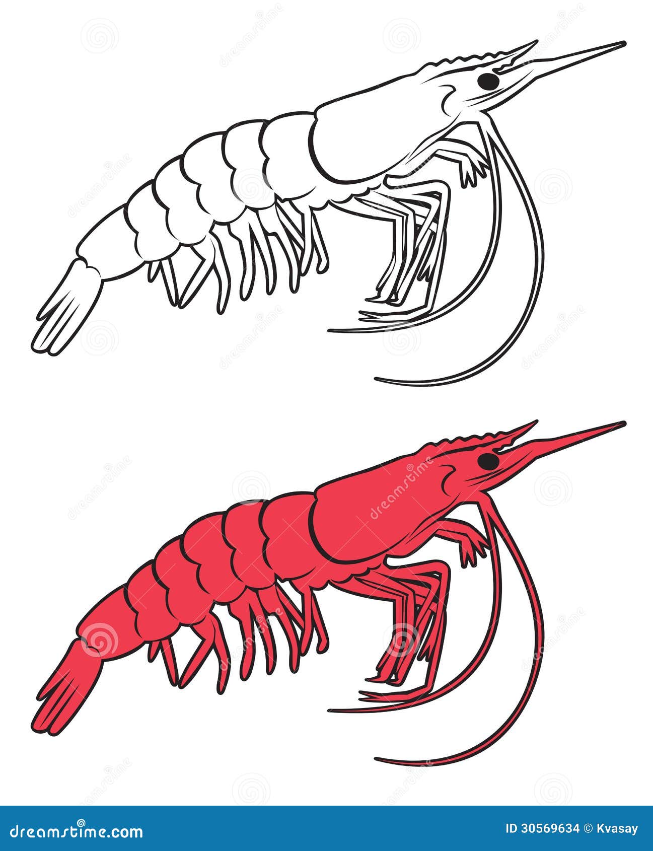 King Prawn In Hand Drawn Doodle Style Isolated On White Background ...