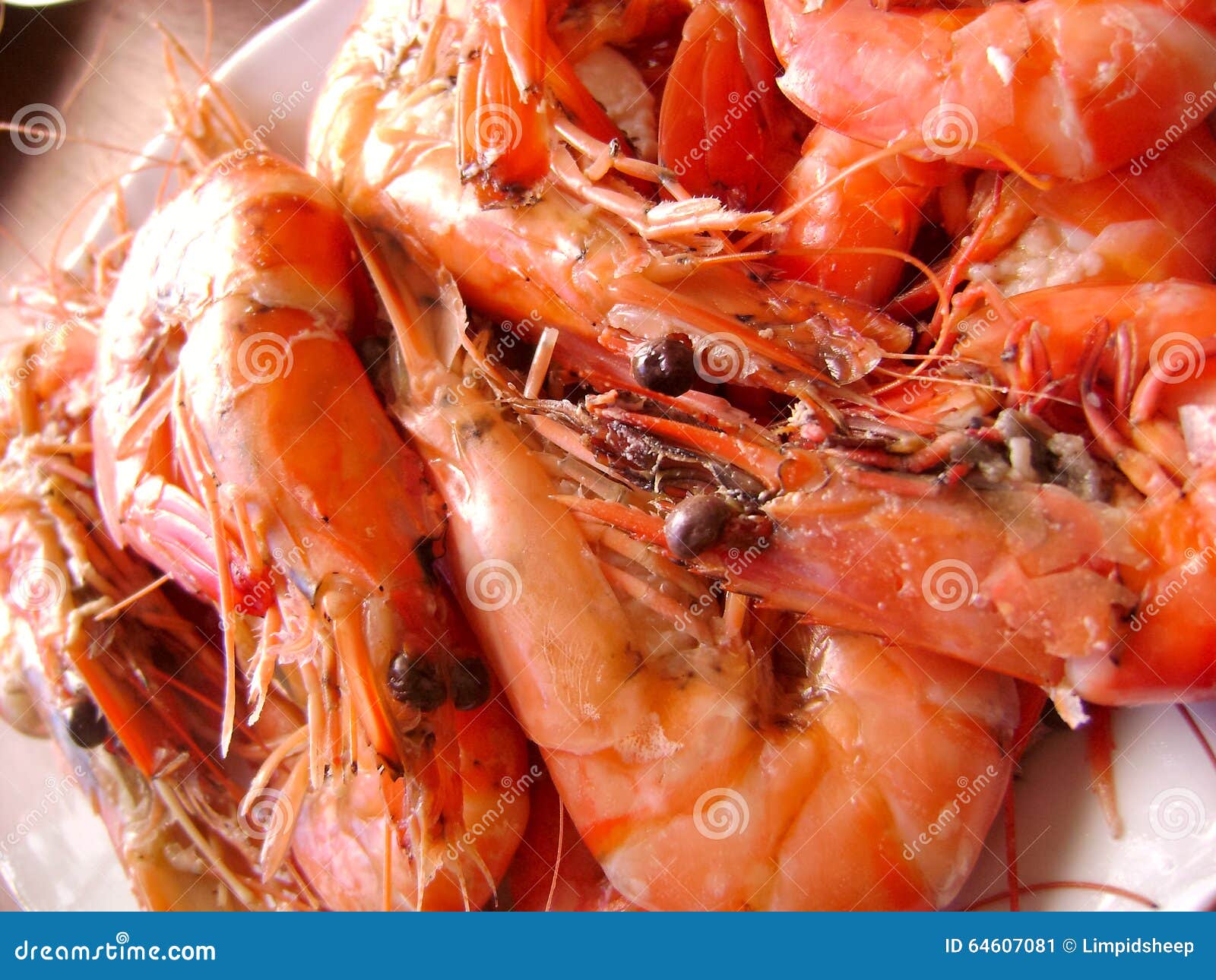 King prawn seafood stock image. Image of salads, appetizing - 64607081