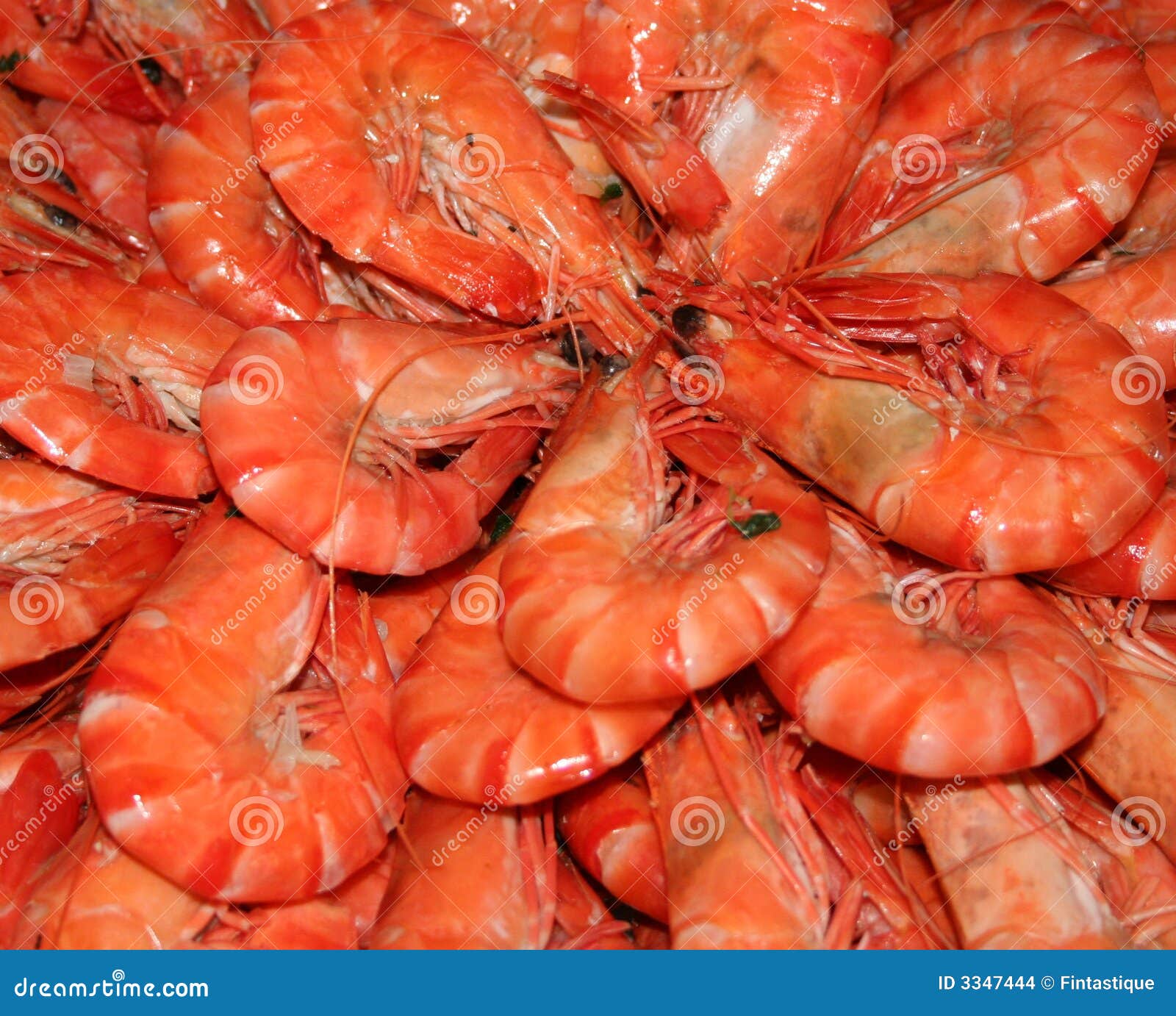 King Prawns With Crisp Seafood Rice. Stock Image | CartoonDealer.com ...