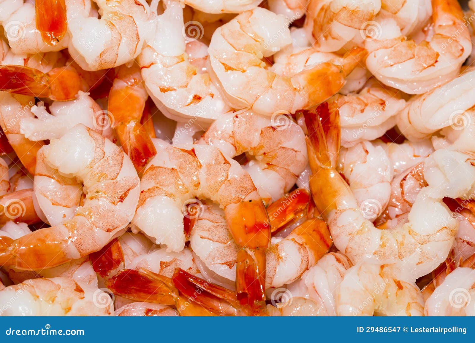 King prawns cooked stock image. Image of fresh, prepared - 29486547