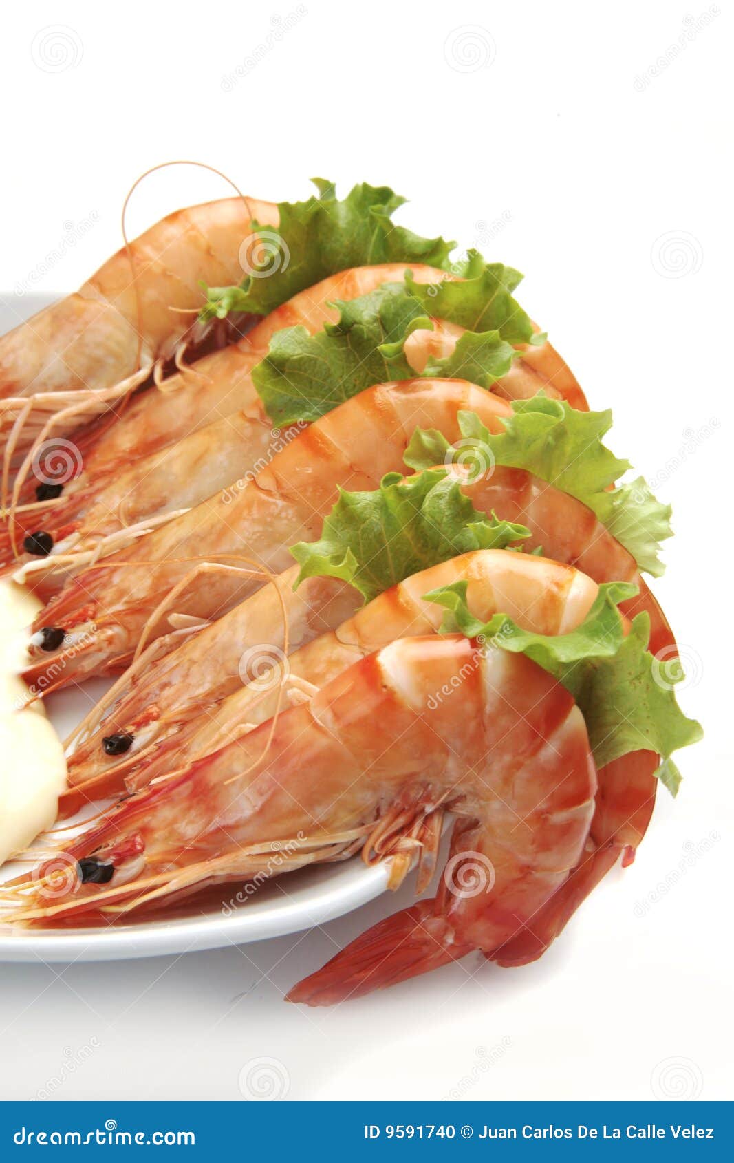 King Prawns With Crisp Seafood Rice. Stock Image | CartoonDealer.com ...