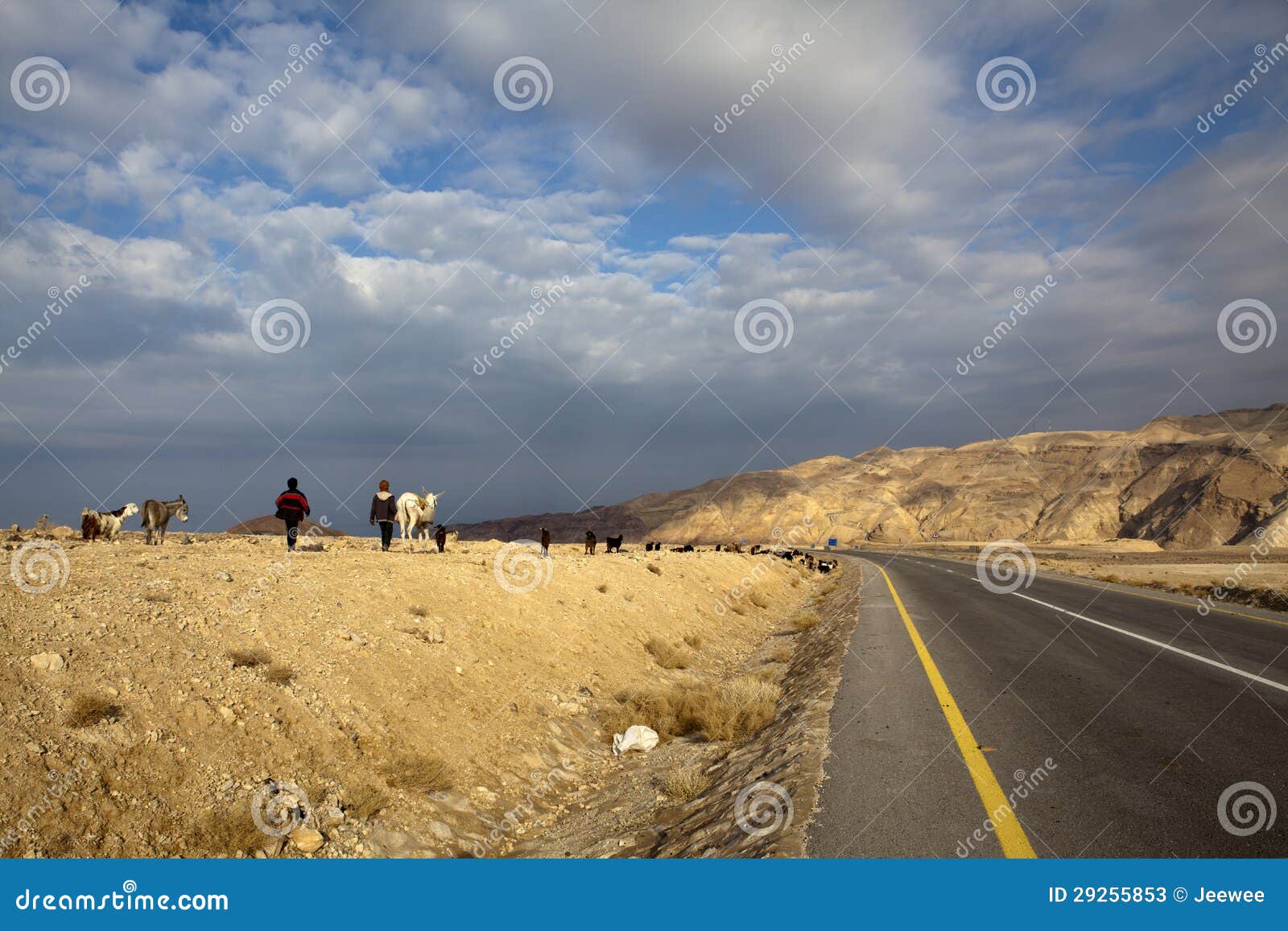 King S Highway in Jordan - Middle East Stock Image - Image of herd ...