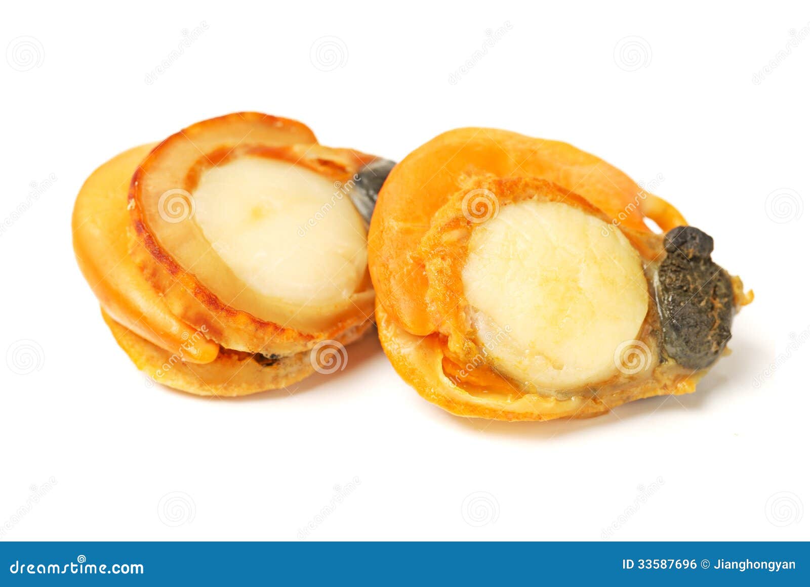 King scallop meat stock photo. Image of edible, marine - 33587696