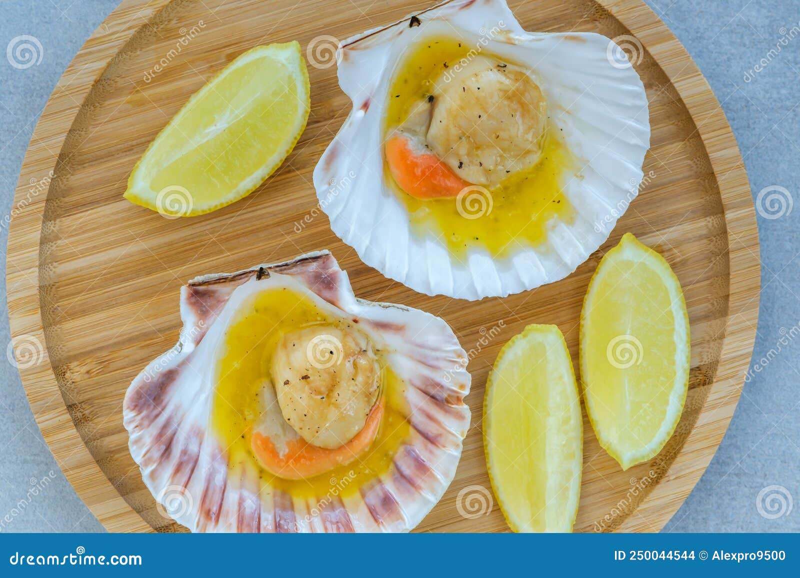 King scallop in shell stock photo. Image of coral, closeup - 250044544