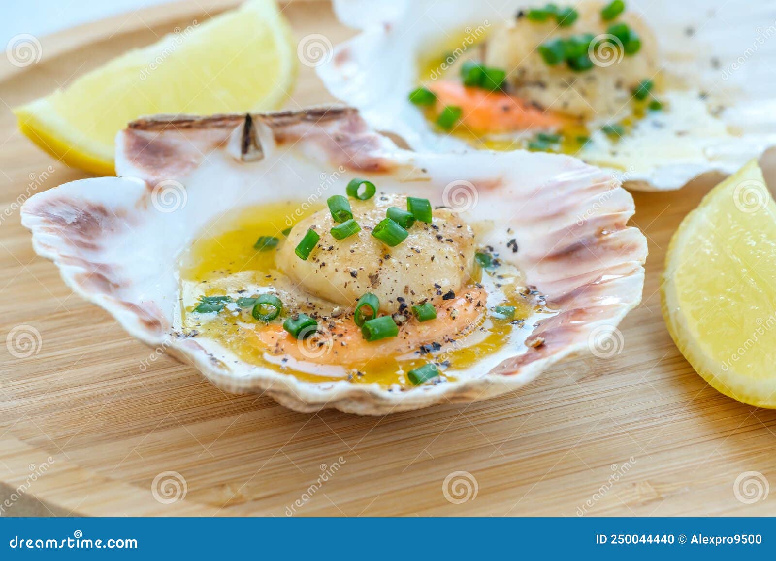 King scallop in shell stock photo. Image of scallop - 250044440