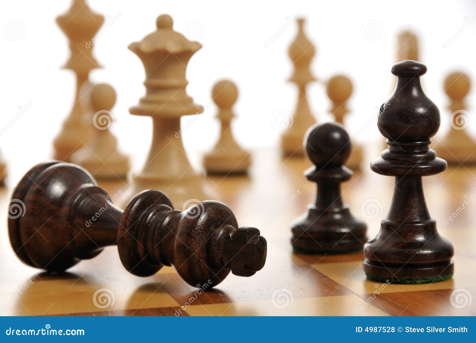 King surrender stock photo. Image of white, chess, chessboard - 4987528