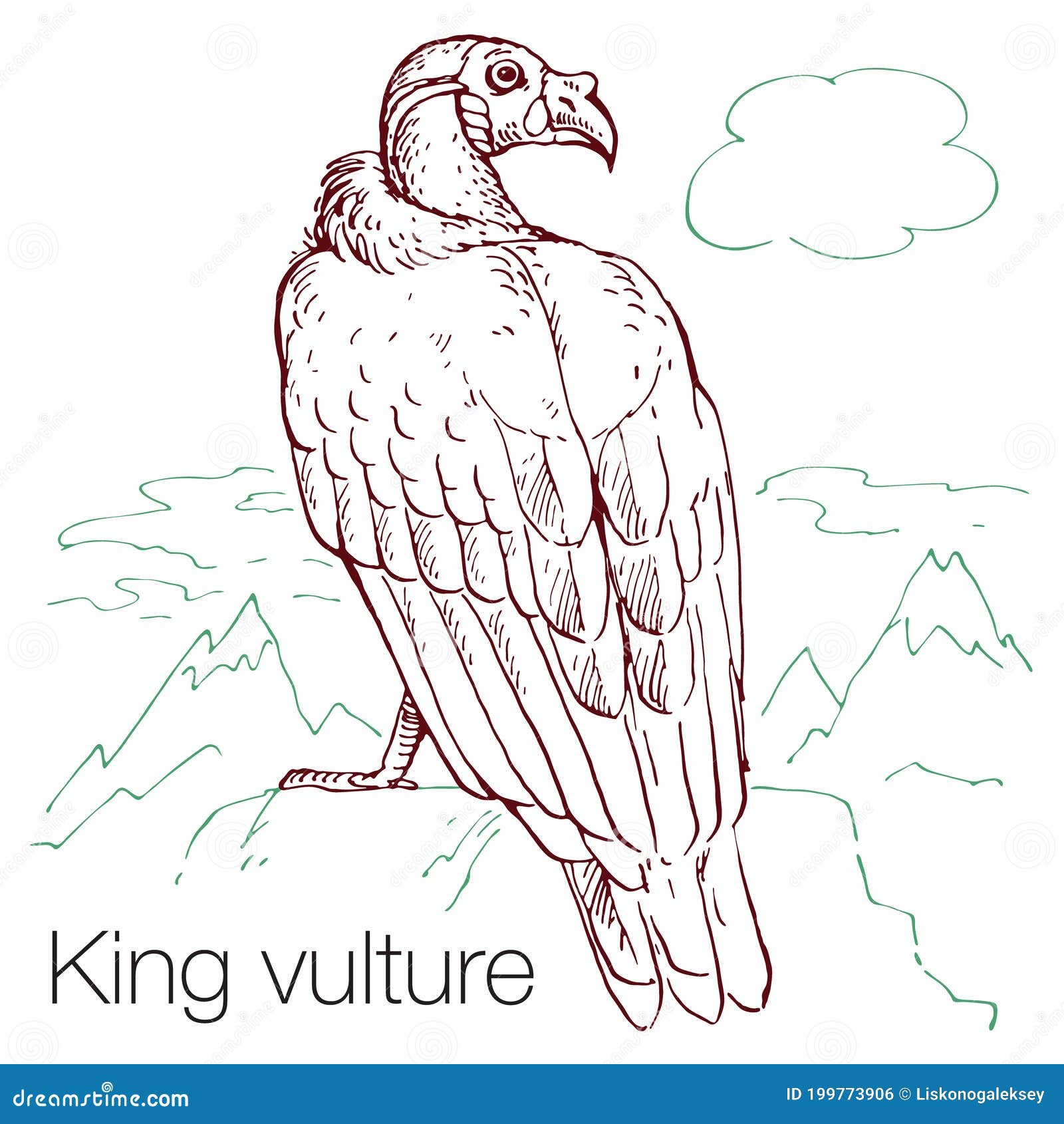 Vulture Linear Icon. Modern Outline Vulture Logo Concept On Whit ...