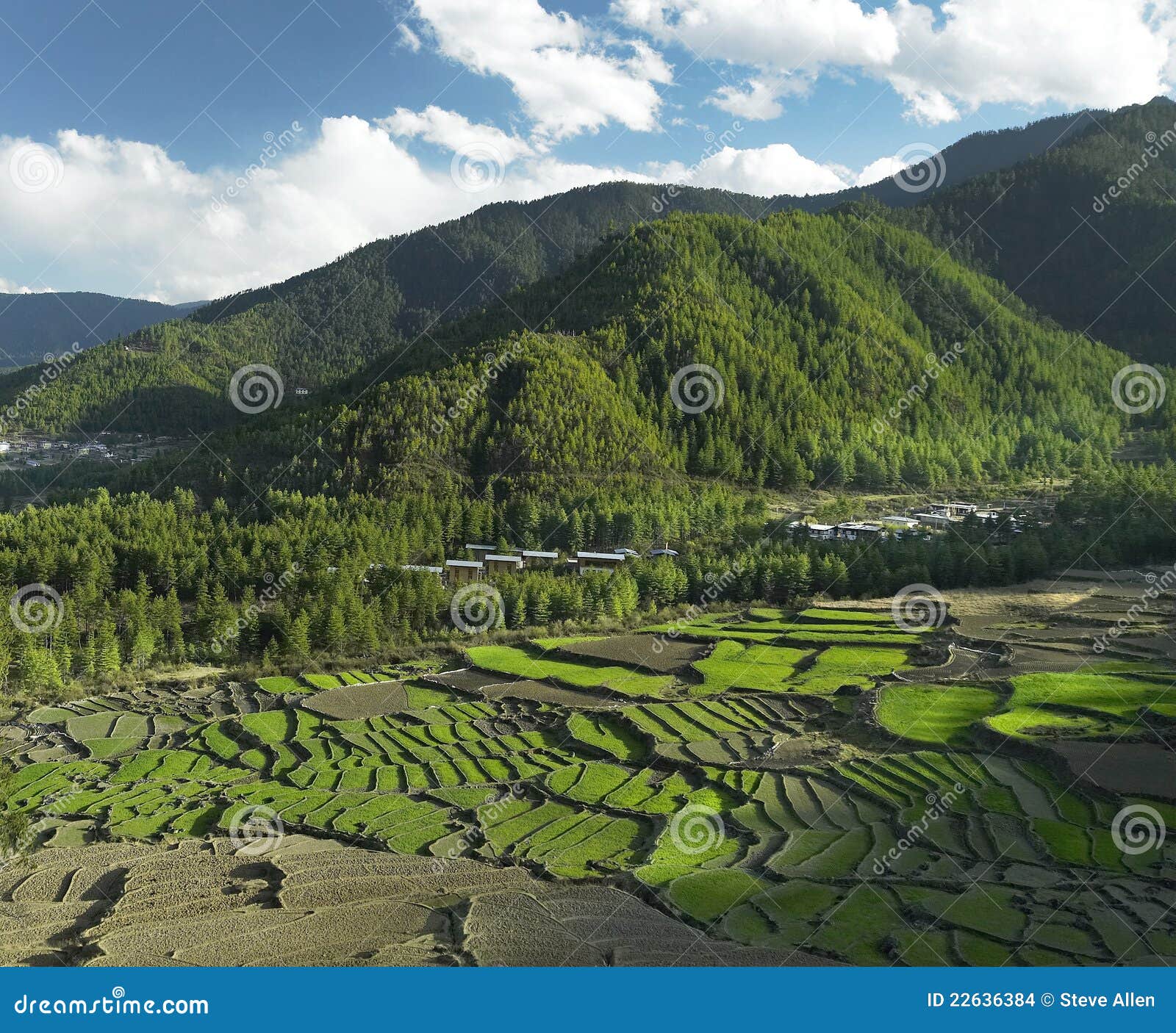 238 Bhutan Farming Photos - Free & Royalty-Free Stock Photos from ...