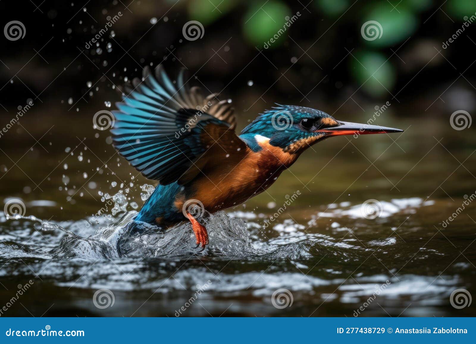 Kingfisher Bird Diving into a River. Generative AI Stock Illustration ...