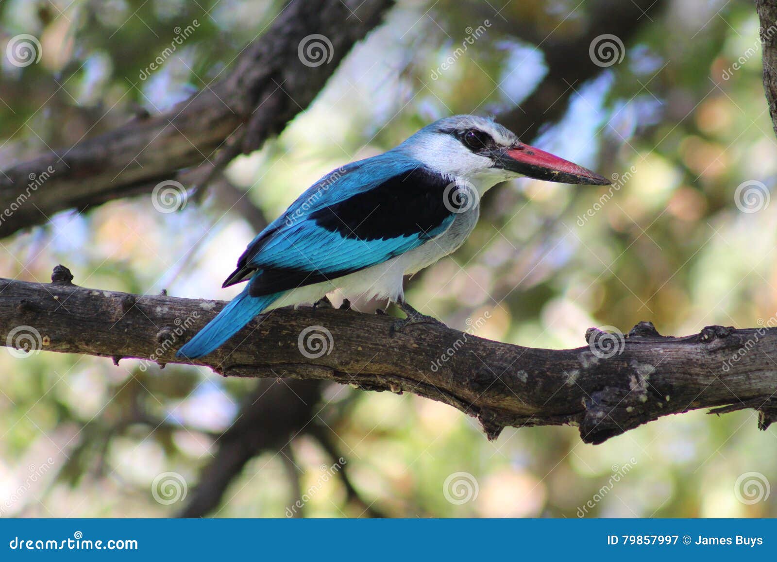 Tiptol Stock Photos - Free & Royalty-Free Stock Photos from Dreamstime