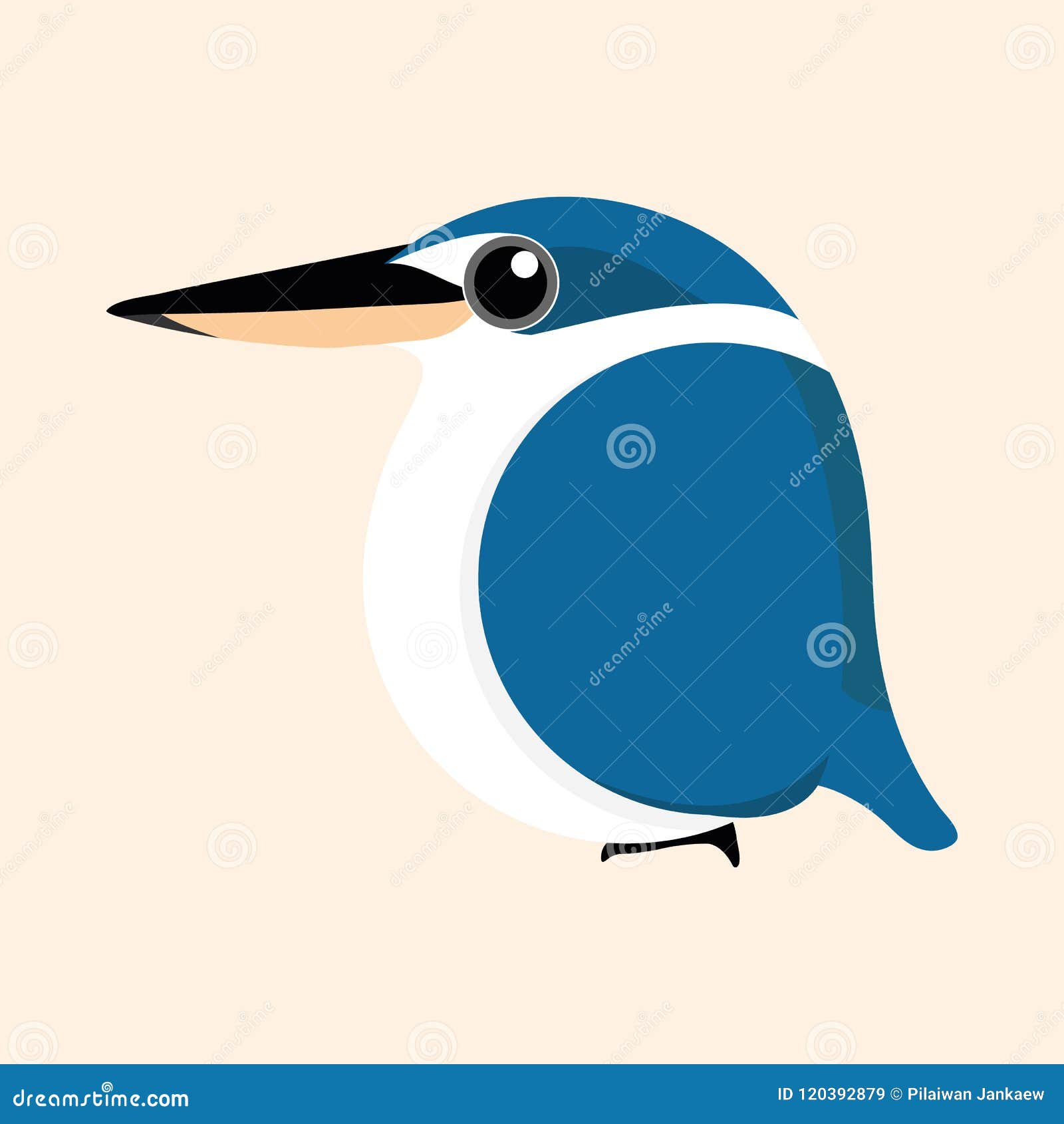 Kingfisher Cartoon Vector, Collared Kingfisher Cartoon Vector ...