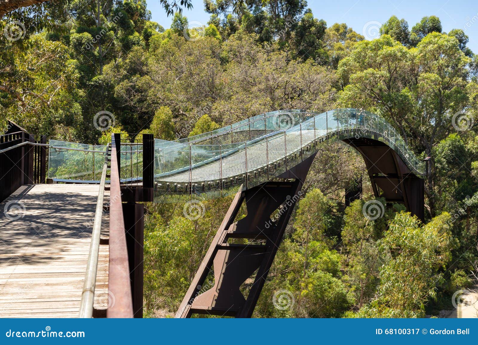Kings Park stock image. Image of perth, footbridge, gardens - 68100317