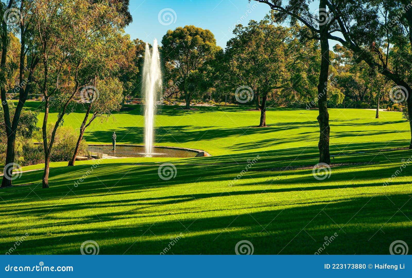 Kings park sunset stock photo. Image of foundation, lawn - 223173880