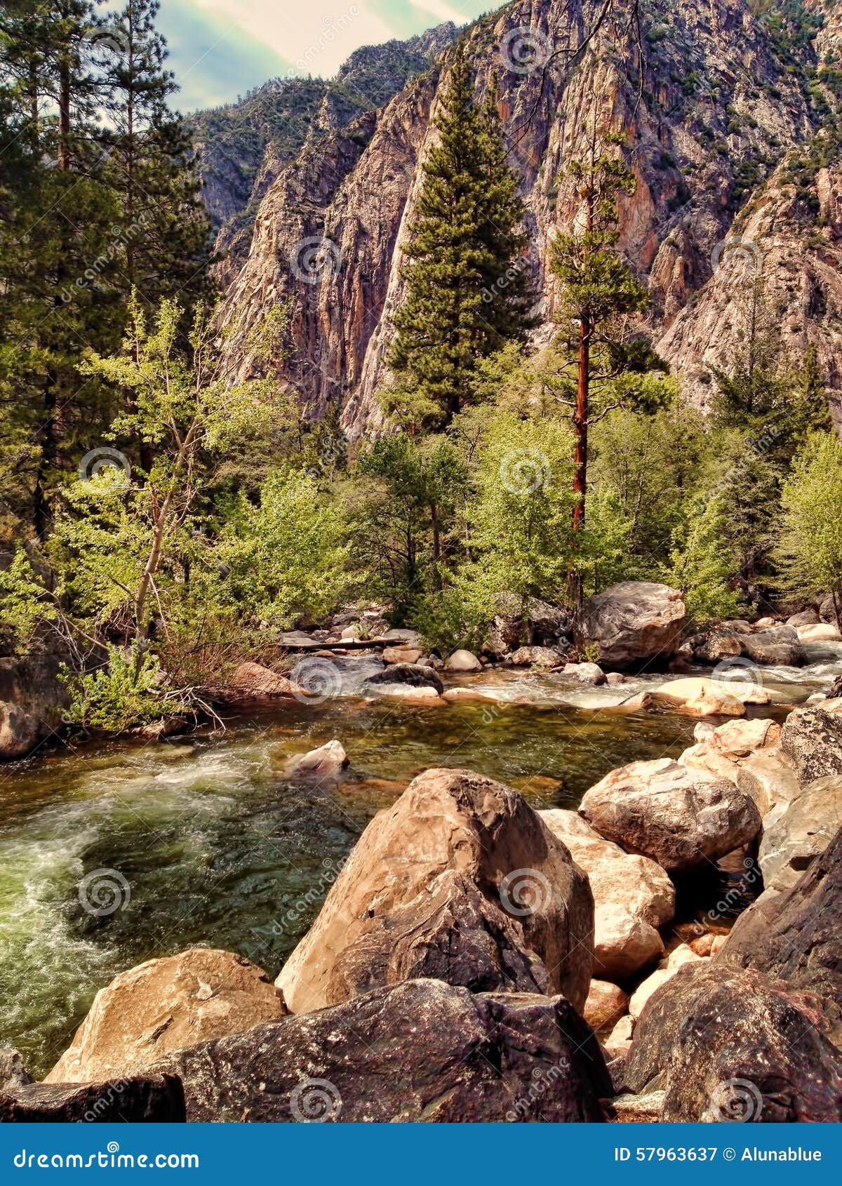Kings River in Kings Canyon Stock Image - Image of california, pine ...
