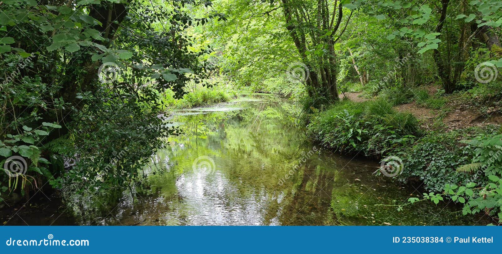 Kingsclere stock photo. Image of wetland, watercourse - 235038384