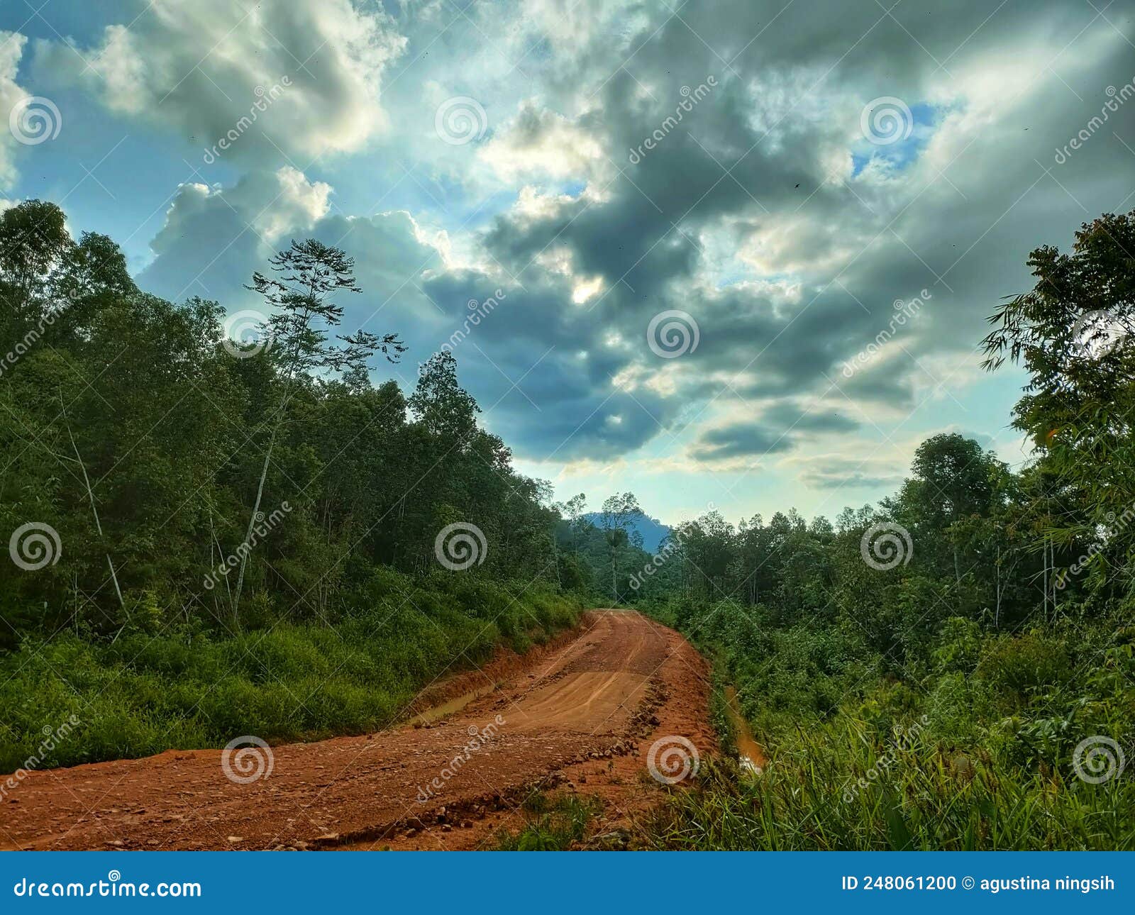 Kinipan village road stock photo. Image of nature, forest - 248061200