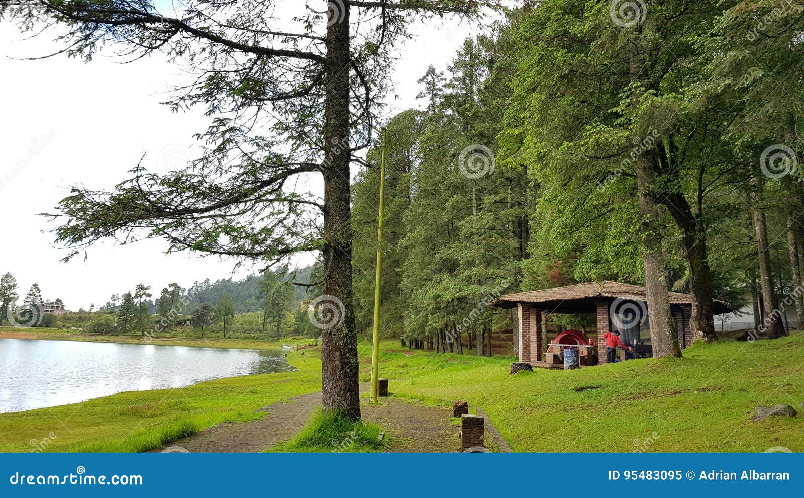 Kiosk in the forest stock image. Image of lake, forest - 95483095