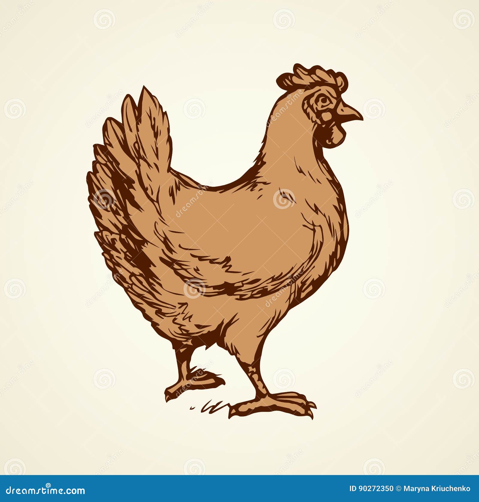 Kip Vector tekening vector illustratie. Illustration of klauwen - 90272350