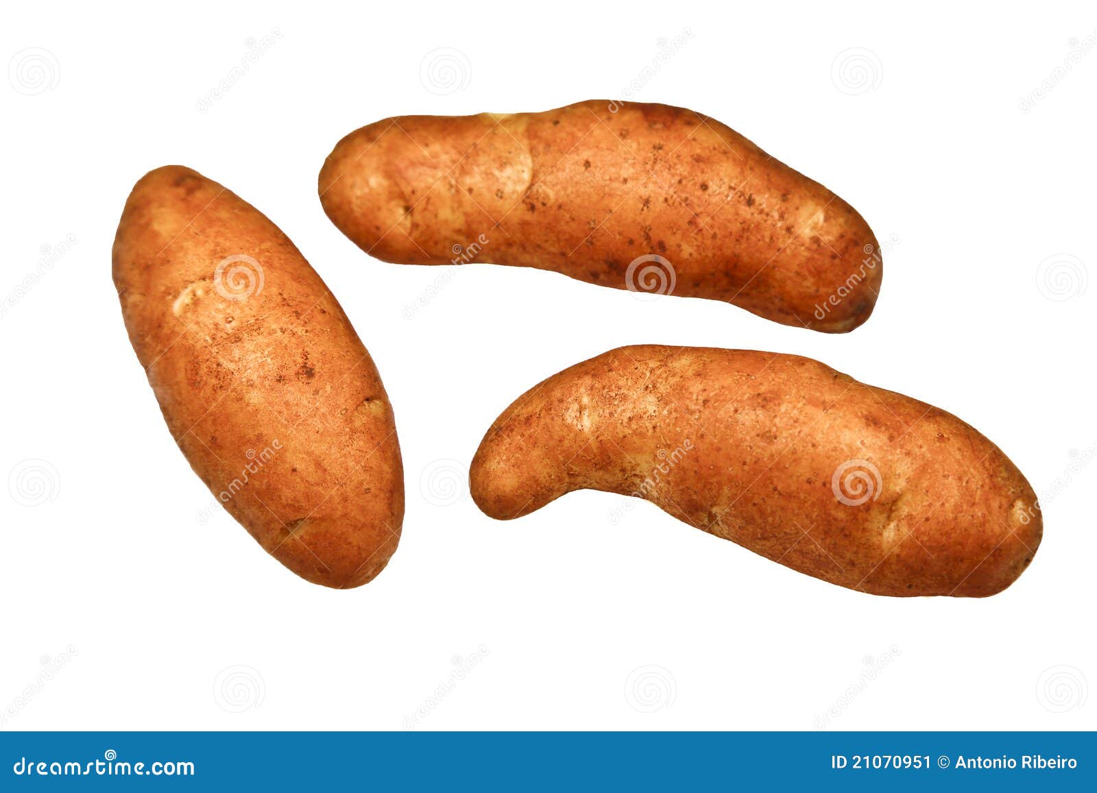 Kipfler Potatoes stock image. Image of vegetable, veggie - 21070951