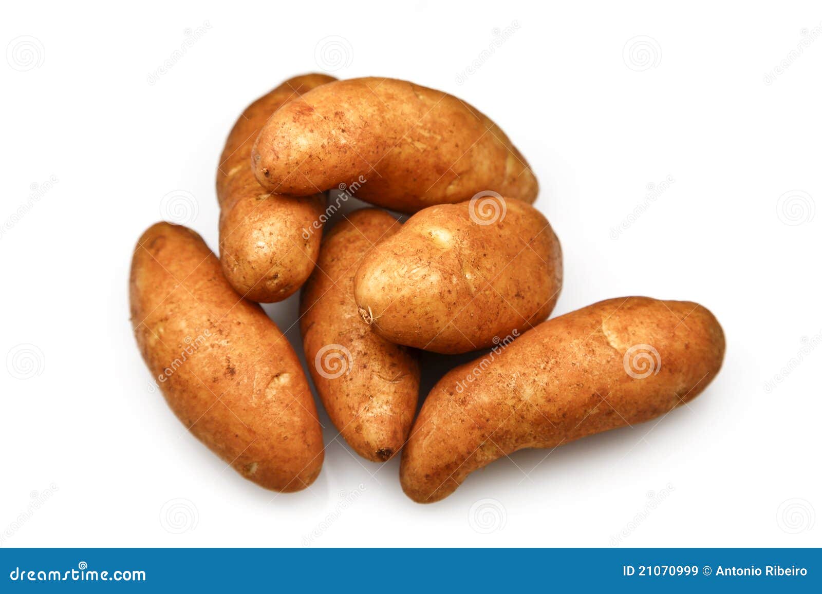 Kipfler Potatoes stock image. Image of unwashed, kipfler - 21070999
