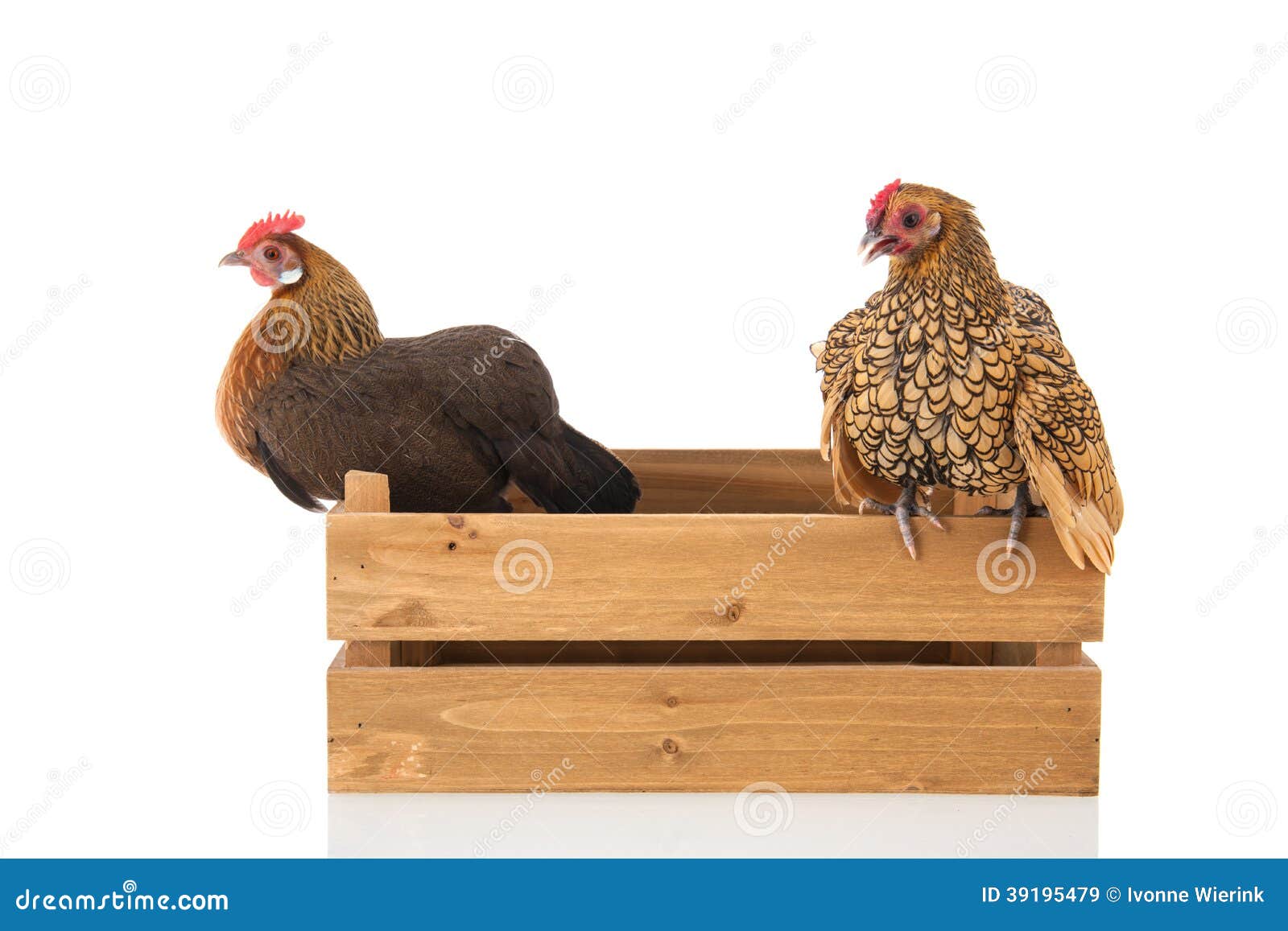 Kippen op houten krat stock afbeelding. Image of niemand - 39195479