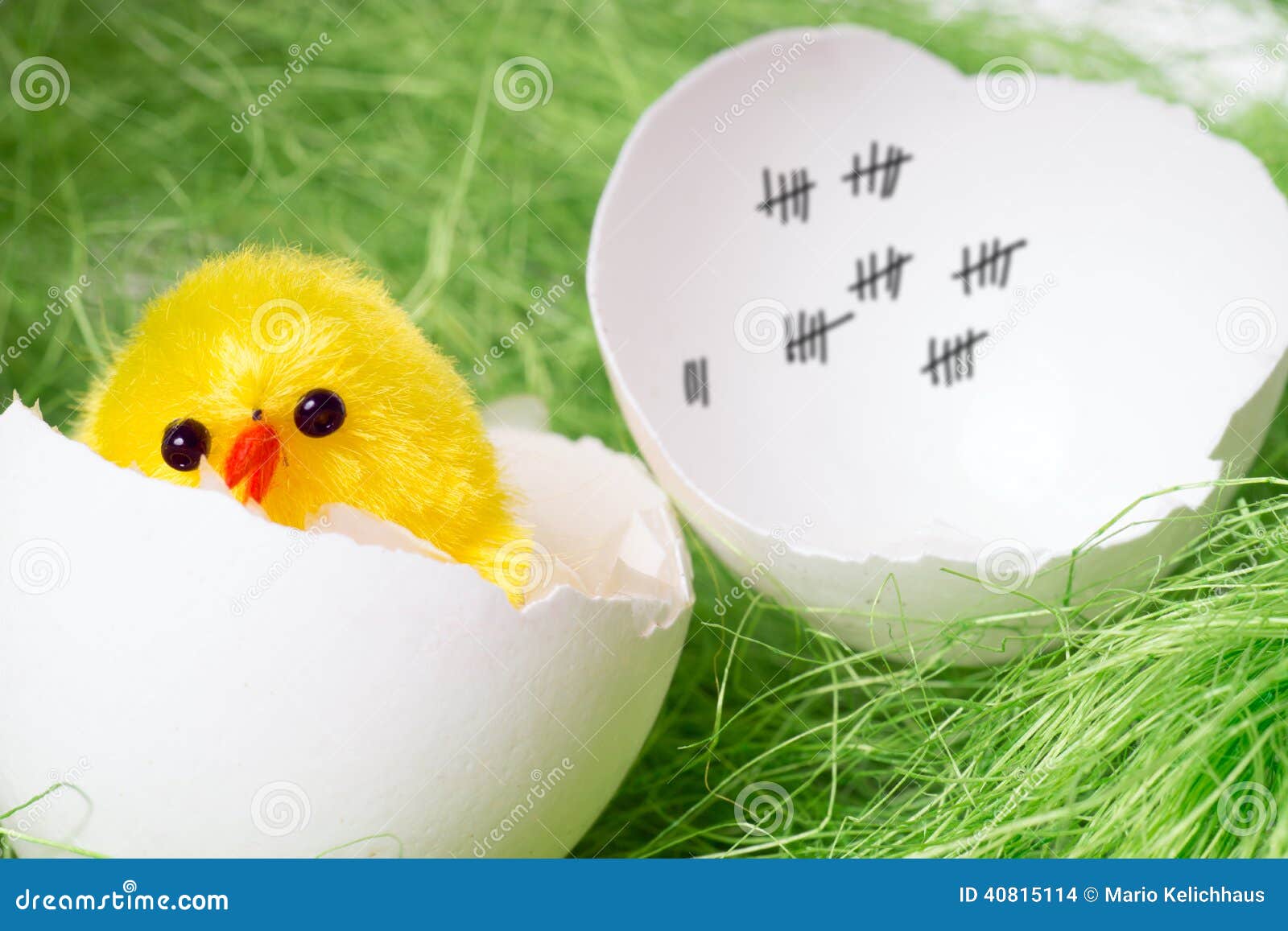 Kippenei stock foto. Image of eierschaal, kalk, telling - 40815114