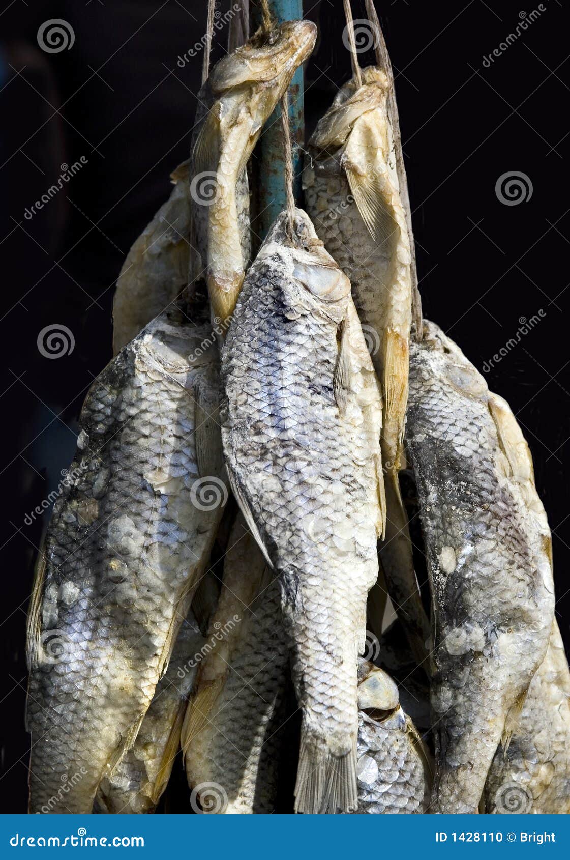Kipper stock photo. Image of fish, squama, delicacy, kipper - 1428110