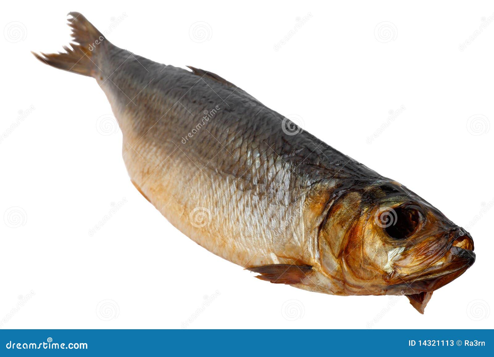 Kipper stock image. Image of herring, closeup, white - 14321113