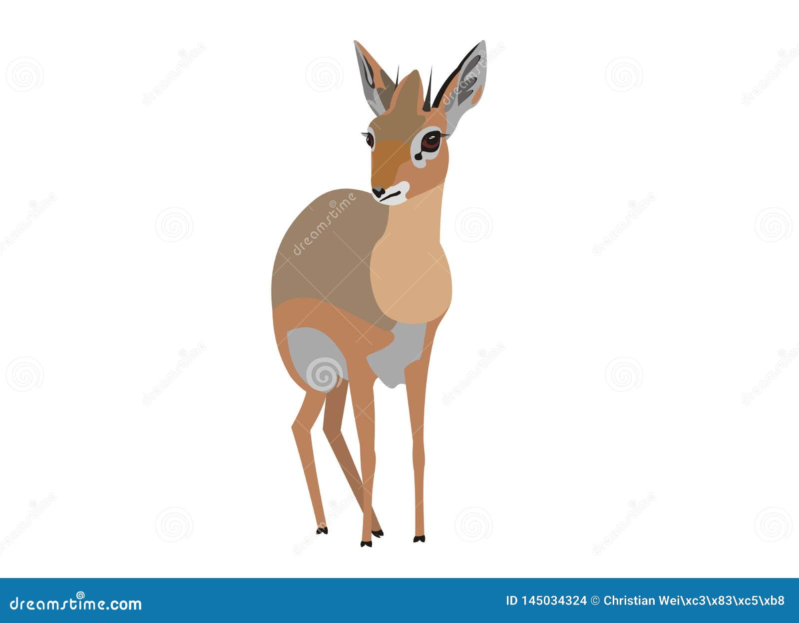 Madoqua Cartoons, Illustrations & Vector Stock Images - 12 Pictures to ...