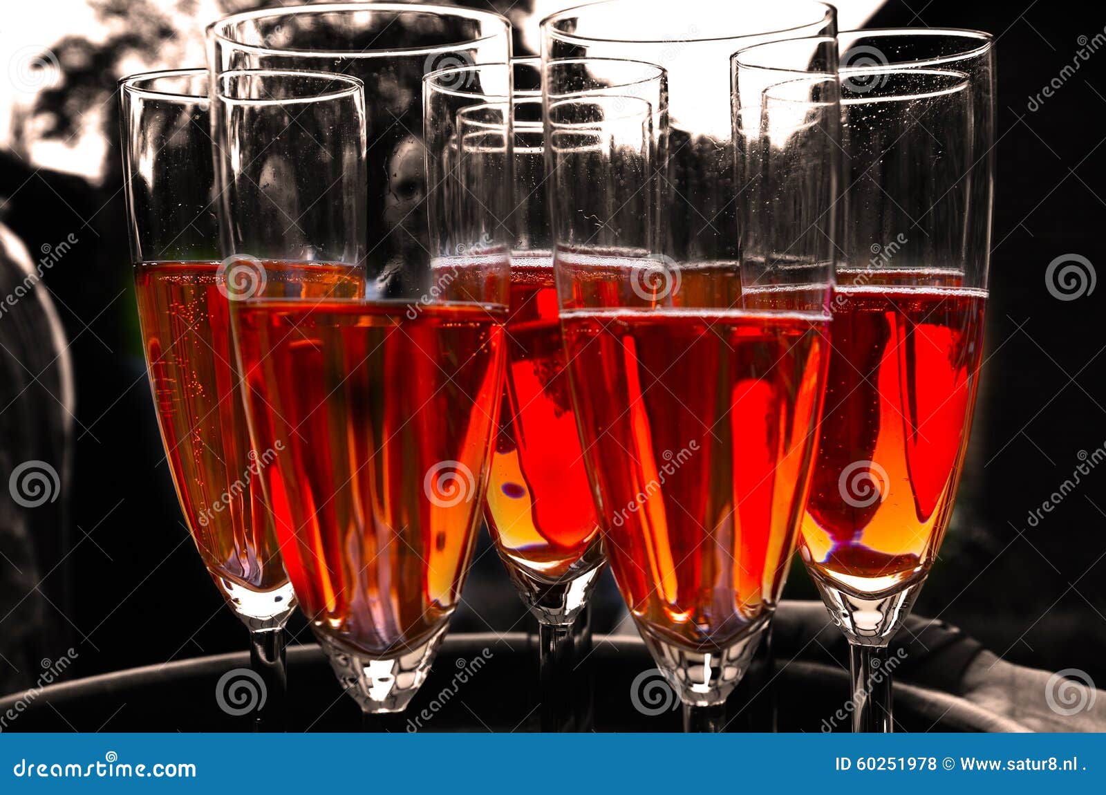 Kirr Royal stock photo. Image of nets, working, little - 60251978