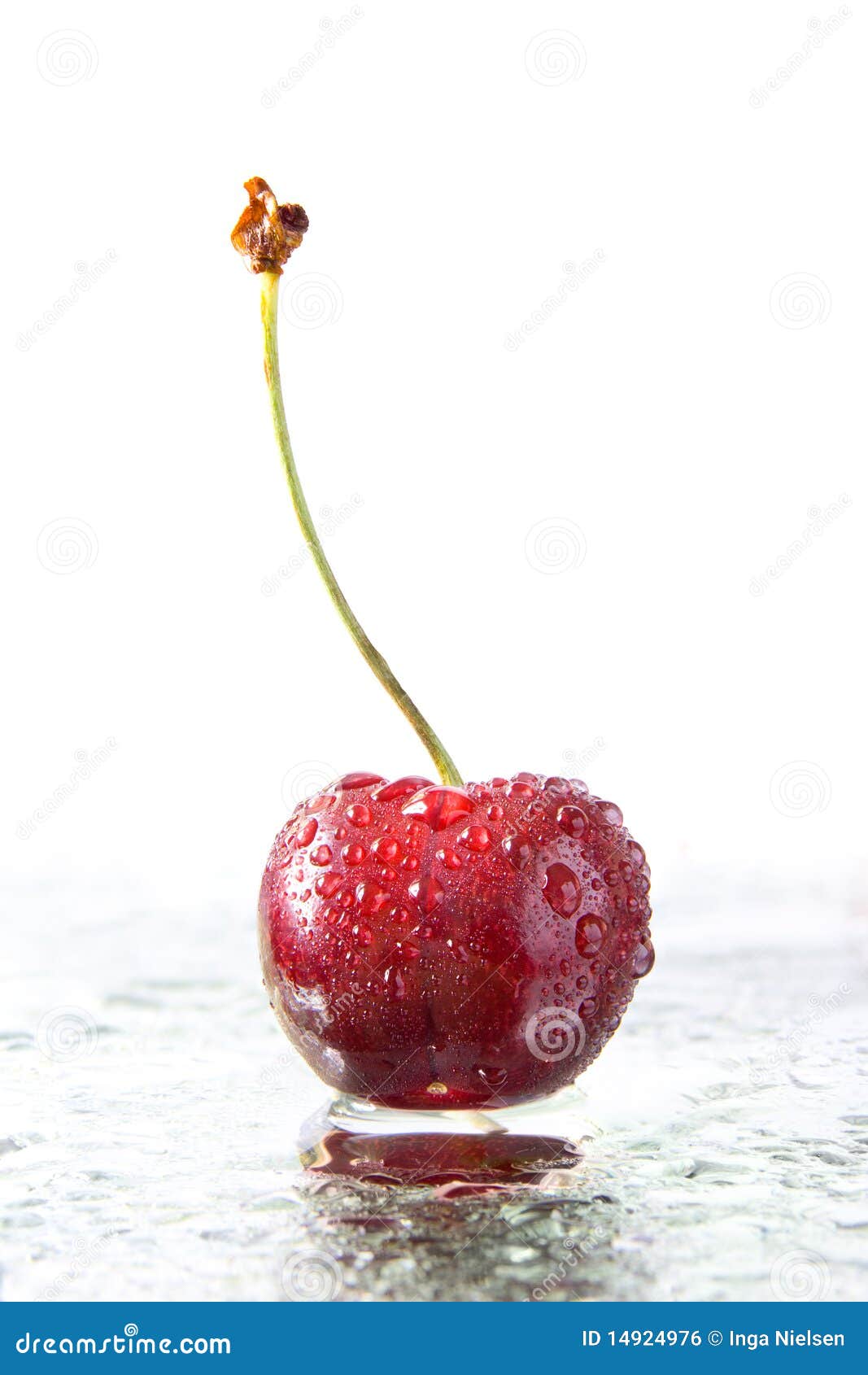 Kirsche stockfoto. Bild von frisch, nahaufnahme, kalt - 14924976