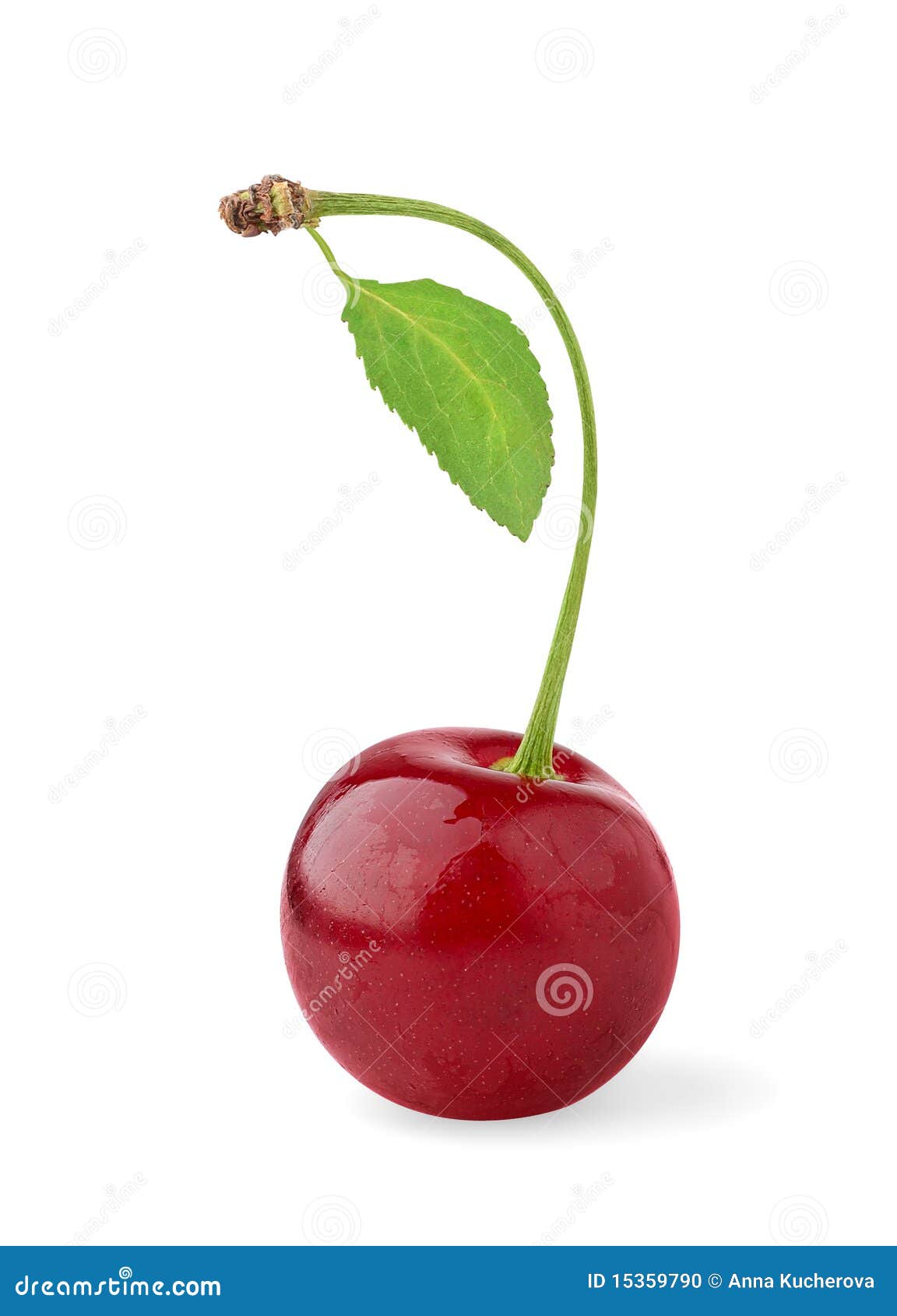 Kirsche stockfoto. Bild von nahaufnahme, frisch, antioxidans - 15359790